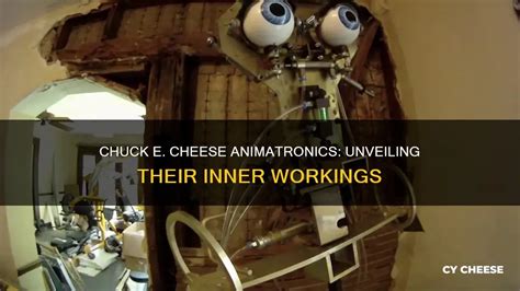 Chuck E Cheese Animatronics Unveiling Their Inner Workings Cycheese