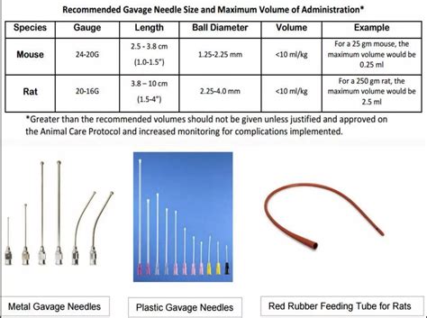 Animal Equivalent Dose Calculation Based On Body Surface Area And