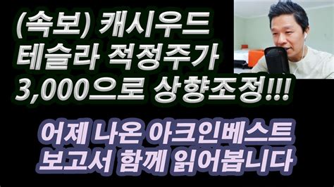 테슬라 속보 캐시우드 테슬라 적정주가를 3 000달러로 상향 조정 어제 발표된 아크인베스트 리포트 함께 읽어 봅니다