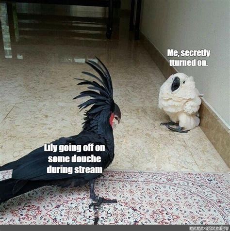 Сomics Meme Me Secretly Tturned On Lily Going Off On Some Douche