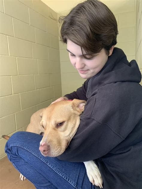 Hugs From My Best Friend Finn At The Shelter [oc] R Mademesmile