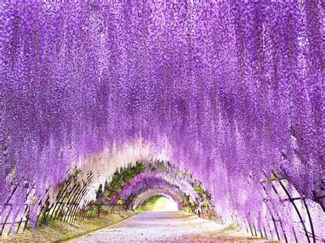 【保存版】八幡デートならここ！九州在住の筆者おすすめの15スポット【夜景絶景スポット・自然・グルメなど】｜アニーお祝い体験マガジン