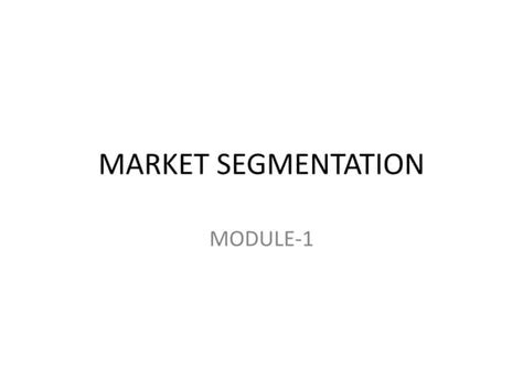 Market Segmentation Ppt Pptx