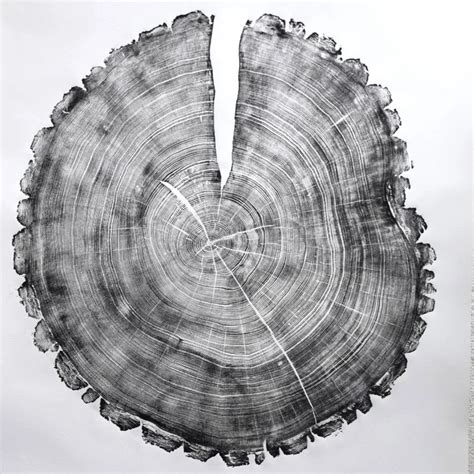 210 Year Old Ash Tree Tree Ring Art Print Wood Stump Print Etsy UK 年輪