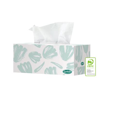 Sorbent Facial Tissues 2 Ply 200 Sheets 25302 Apex Cleaning Supplies