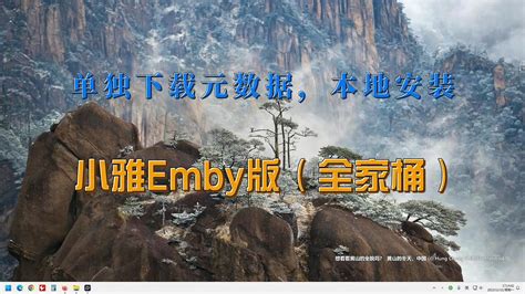 下载太慢？单独高速下载元数据，本地解压安装小雅emby版（全家桶） 知乎