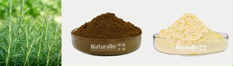 植物提取物应用至饲料添加剂广州化妆品原料批发网