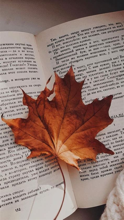 Осень 🍂🍁 Fall Reading List Fall Reading Books