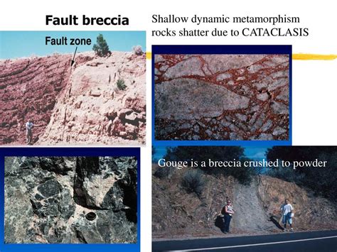 Dynamic Metamorphism