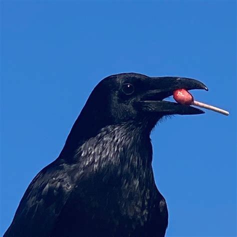 ‎micels Profile • Letterboxd