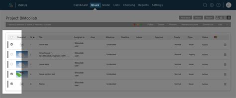 Edit Multiple Issues In Bimcollab Nexus