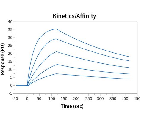 SPR BLI Binding Assay