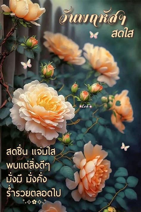 วันพฤหัสฯสดใส สวัสดีตอนเช้า วันพฤหัสบดี อรุณสวัสดิ์