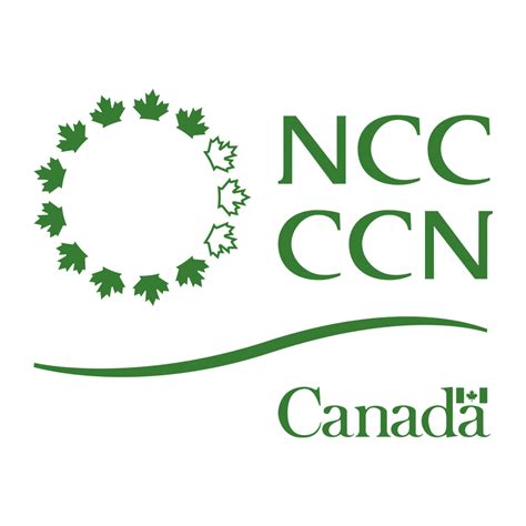 Ncc Bronson Technical Search