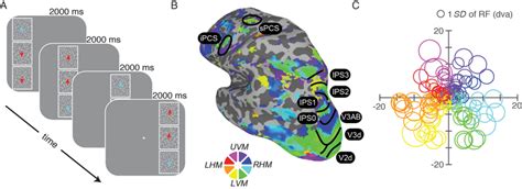 Measuring Spatial Selectivity Of Individual Fmri Voxels Via Population Download Scientific