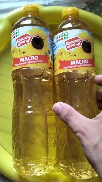 МАСЛО ПОДСОЛНЕЧНОЕ ИЗ ТАТАРСТАНА #shorts - YouTube