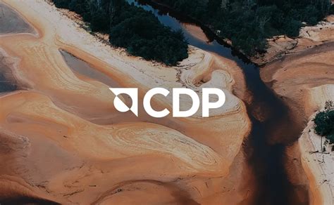 What Is The Cdp Carbon Disclosure Project Sweep