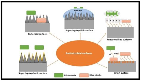 Characteristics And Key Features Of Antimicrobial Materials And