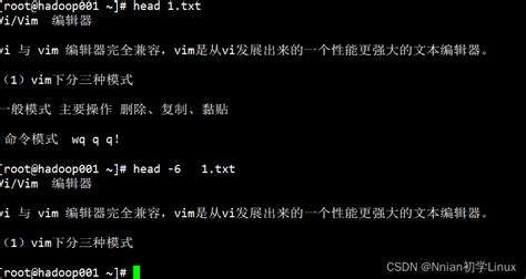Linux 常用基本命令（一）linux Rm F命令 Csdn博客
