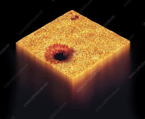 Sunspot Artwork Stock Image C017 7364 Science Photo Library