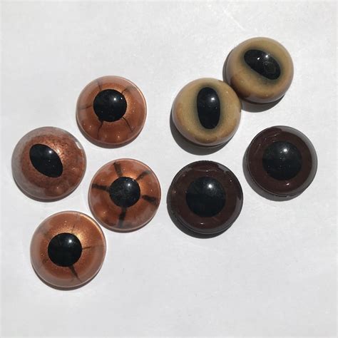 Taxidermy Eyes Etsy