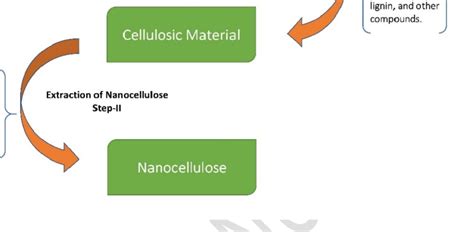 Production Of Nanocellulose From Lignocellulosic Biomass Download