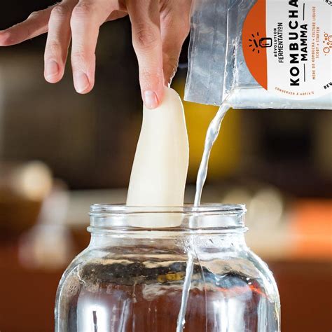 Kombucha Scoby Made In Canada Revolution Fermentation Canada