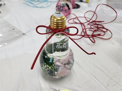 집단상담프로그램 원예치료미술향기 아로마테라피자존감향상자조모임교직원학부모연수사제동행힐링스트레스관리초중고교육청전북전주익산전국출강원예키트전국배송