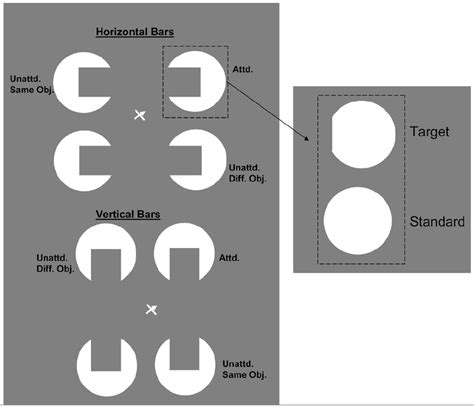 Stimulus Configurations Download Scientific Diagram