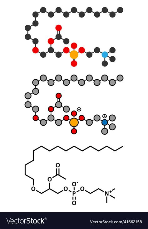 Platelet Activating Factor Paf Signaling Molecule Vector Image