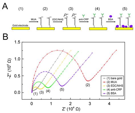 Biosensors Special Issue Biosensing For Point Of Care Diagnostics