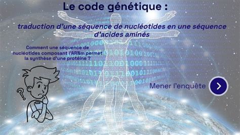 Le Code Génétique Genially