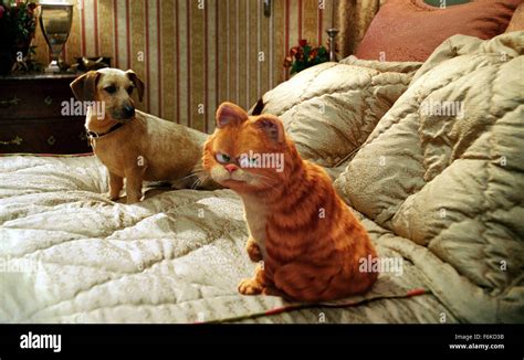 Release Date June 16 2006 Movie Title Garfield A Tail Of Two
