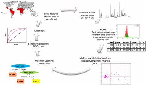 Schematic Diagram Of The Lc Ms Based Metabolomic Workflow Wherein The
