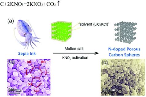 A Schematic Illustration For Fabricating N Doped Porous Carbon