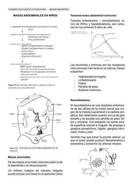 Masas Abdominales En Niños Mary Mednotes Udocz