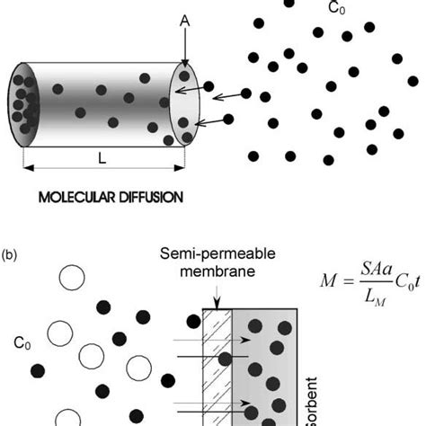 Pdf Passive Sampling