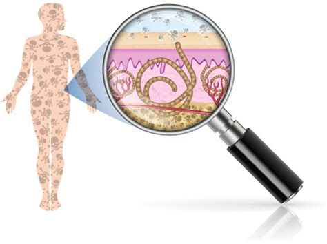 Hormone Imbalance Integrative Wellness Centers