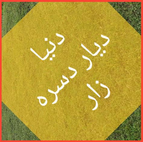 دنیا دیار دسرہ زار