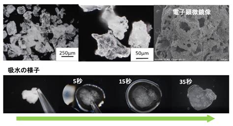 デンプンから生分解性高吸水性ポリマーを開発ー 紙おむつ廃棄物の堆肥化処理を可能とする新技術 ー 大阪大学工学部応用自然科学科 応用化学科目