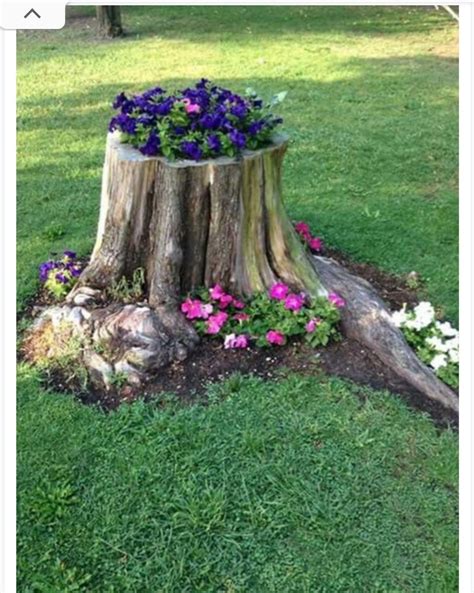Tree Stump Gardening Ideas Front Yard Garden Decor