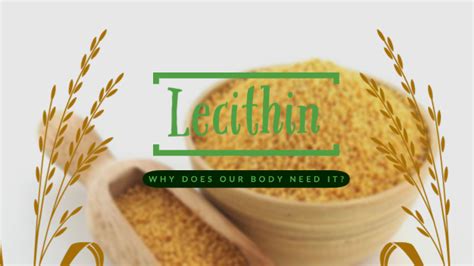What is Lecithin? Uses, Benefits and Side Effects - DietToSuccess