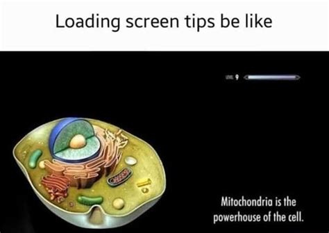 Loading Screen Tips Be Like Mitochondria Is The Powerhouse Of The Cell