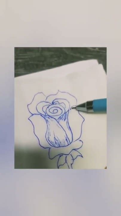 Flowers Darwing Youtubeshorts Art Shortvideo Youtube