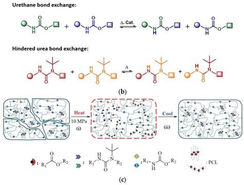 Polymers Free Full Text Improving Sustainability Through Covalent Adaptable Networks In The