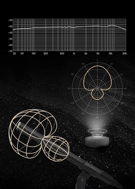 Shotgun Microphone Pickup Pattern