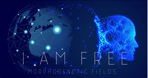 Morphogenetic Fields Collective Influences Bodymaitre