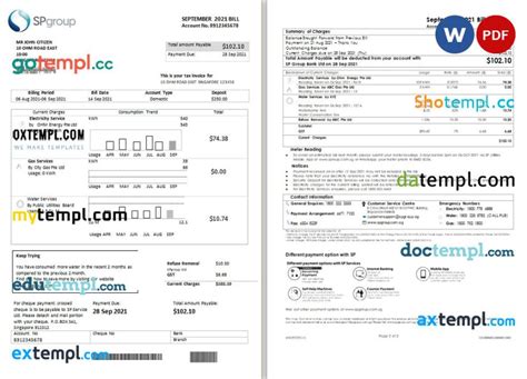 Singapore SP Group Utility Bill Template In Word And PDF Format 2