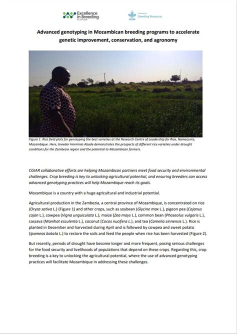 advanced genotyping in mozambican breeding programs to accelerate